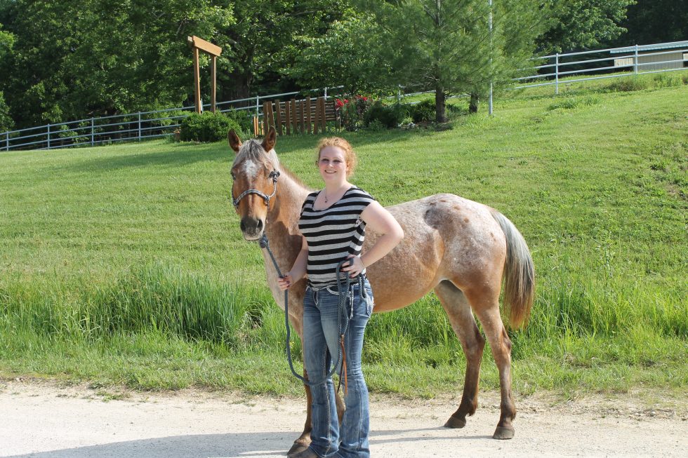 Adopt | Longmeadow Rescue Ranch | St. Louis, MO