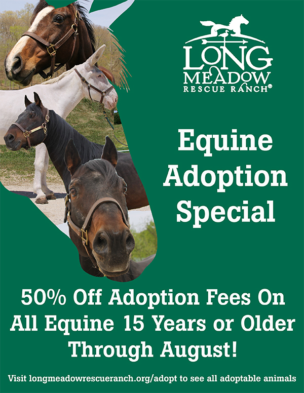 Longmeadow Rescue Ranch • Horse & Farm Animal Rescue • Union, MO