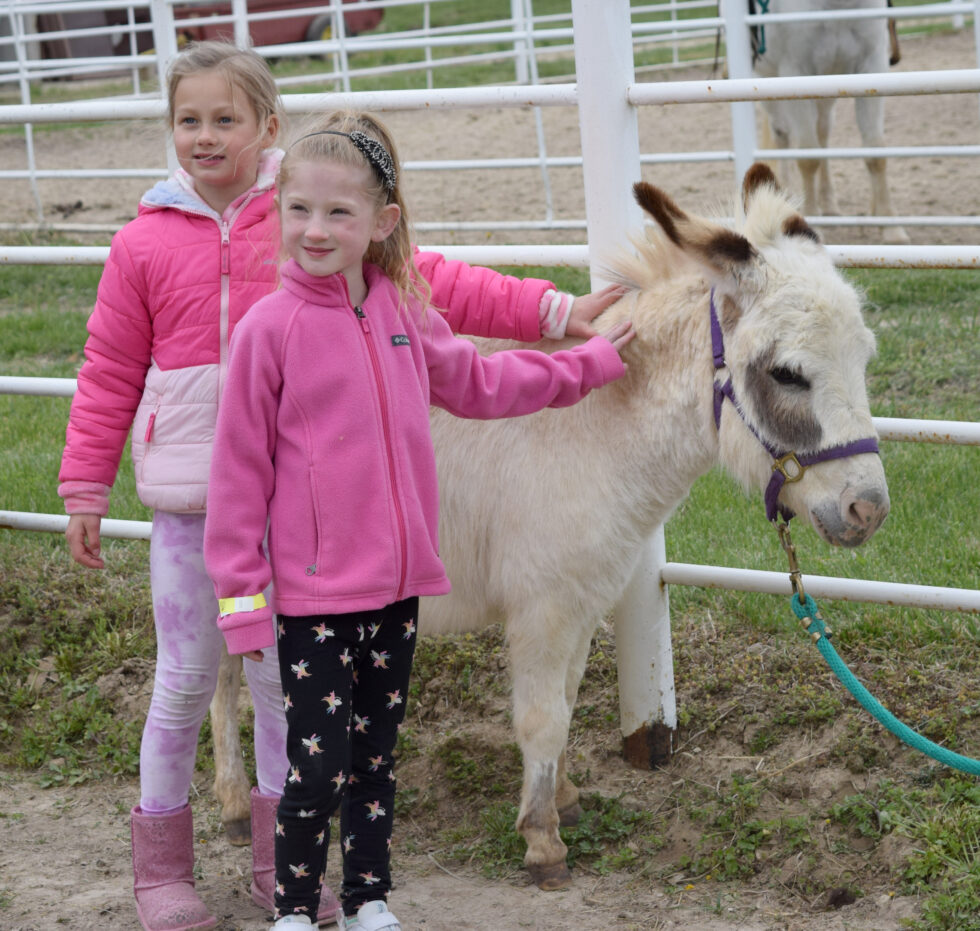 Wagon Days at Longmeadow | Longmeadow Rescue Ranch | St. Louis, MO