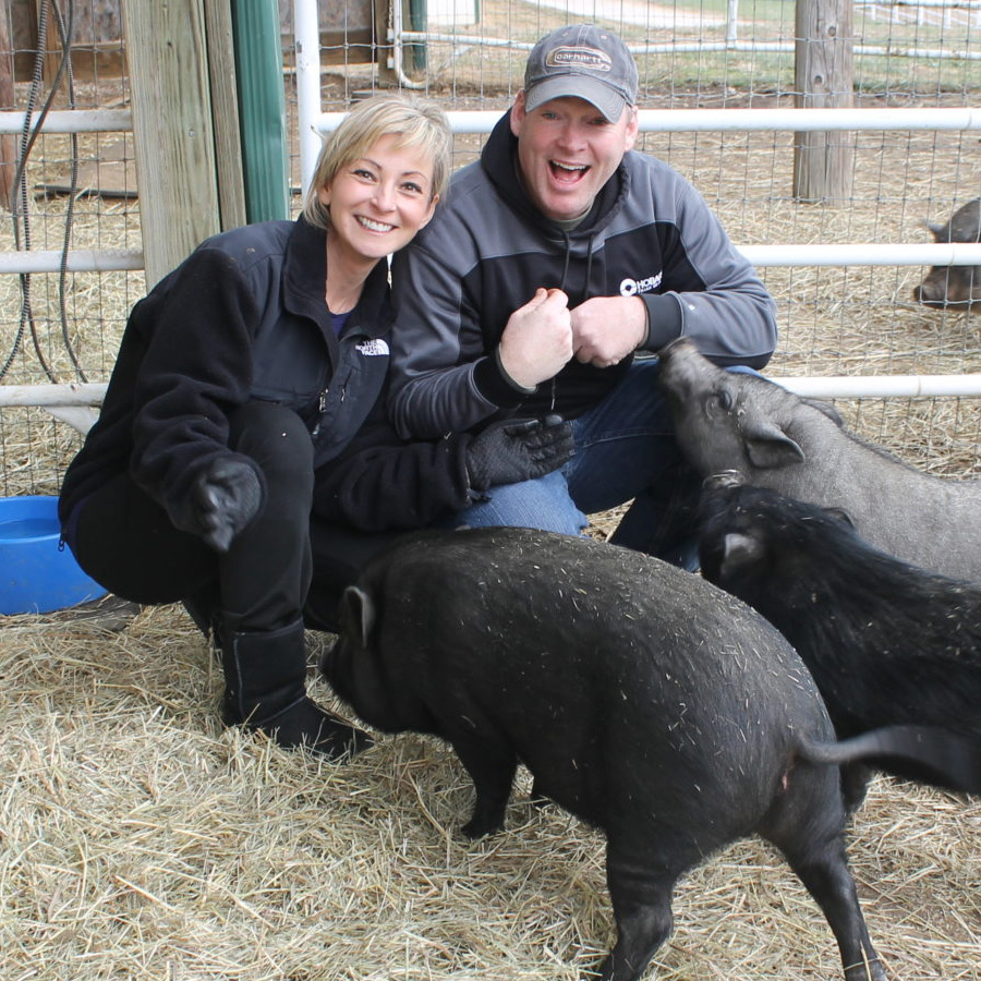 Hannah, Tootsie & Toby | Longmeadow Rescue Ranch